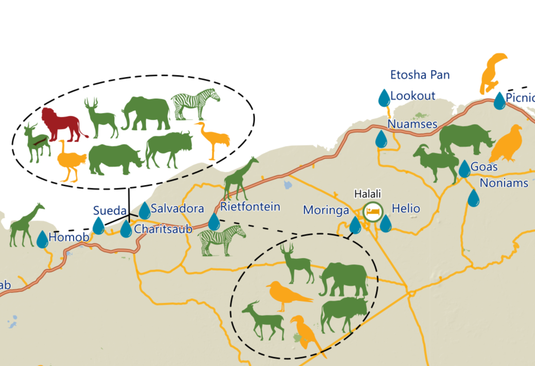 Etosha National Park